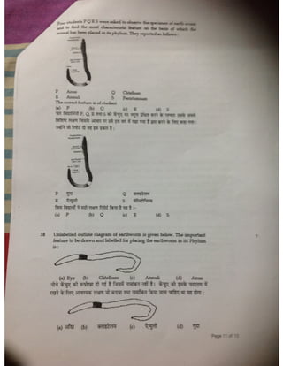 Science SA2 Class 9 CBSE Question Paper | PDF