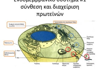 2ο κεφαλαιο Β λυκειου ΓΠ 2013-14 | PPT