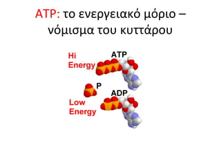 2ο κεφαλαιο Β λυκειου ΓΠ 2013-14 | PPT