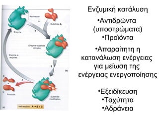 2ο κεφαλαιο Β λυκειου ΓΠ 2013-14 | PPT