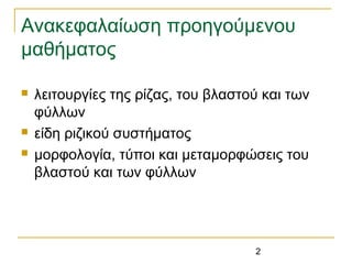 μορφολογία του καλλιεργούμενου φυτού 2 | PPT