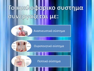 κυκλοφορικο συστημα (εργασία μαθητών Α4) | PPT