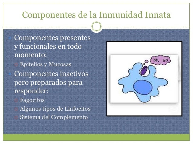 2. Inmunidad Innata o Natural