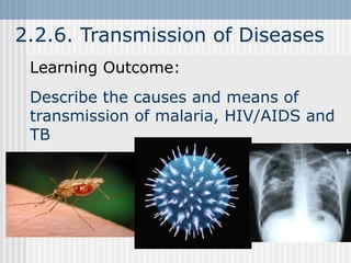 2.2.6. transmission of_diseases | PPT | Infectious Diseases | Diseases ...