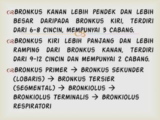 2. fisiologi sistem respirasi | PPTX