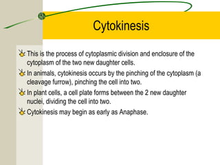 2.5 cell division | PPT