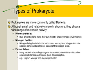 Autotrophic Prokaryotes