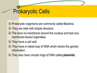 Prokaryotic Cell Structure Ppt
