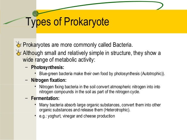 2.2 prokaryotic cells