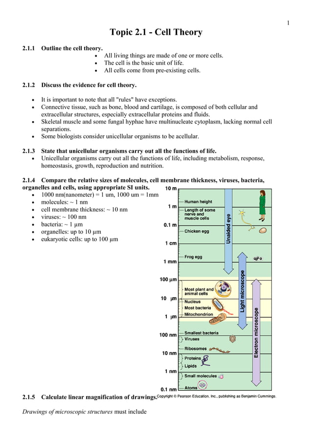 2.1 cell theory notes | DOC | Biological Sciences | Science