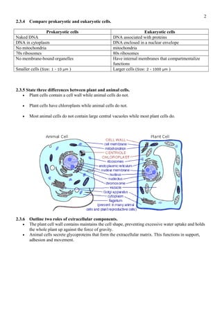 2.3 eukaryotic cells notes | DOC