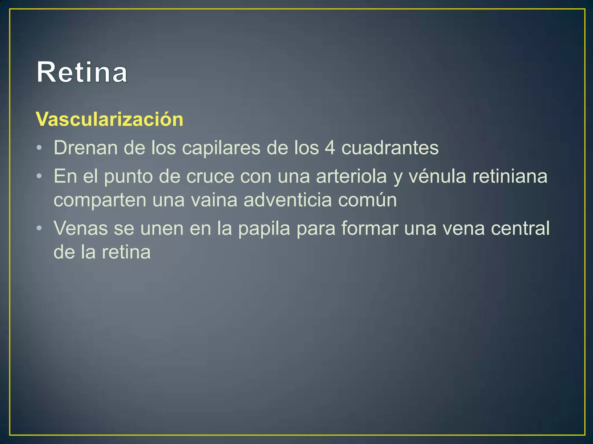 2. anatomía funcional de la retina | PPTX