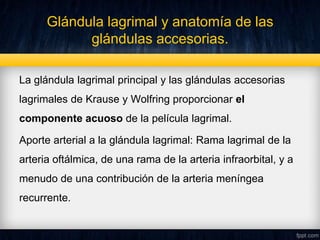 2 El Sistema Lagrimal Pptx