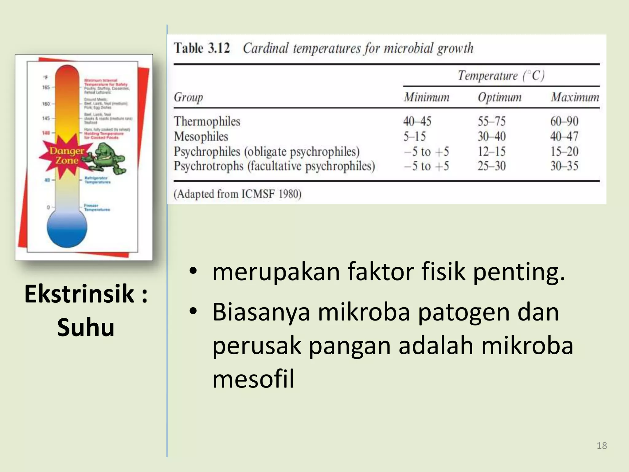 Pengantar Mikrobiologi Pangan | PPTX