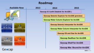 Our vision: The 3D Shared Earth Model - Oil and Gas seminar October ...