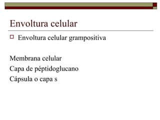 2.estructura celular | PPT