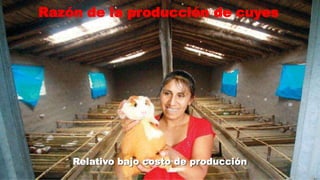 2.generalidades del cuy | PPTX