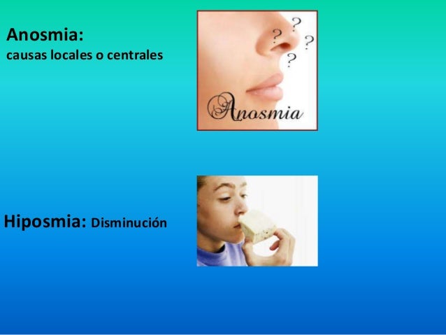 pares craneales 1 y 2