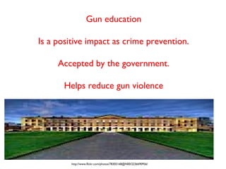 Gun control ignite | PPT