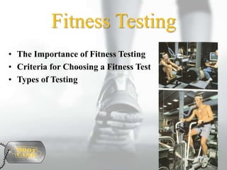 2. fitness testing | PPTX