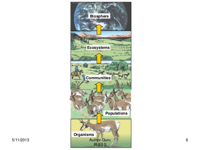 Organism Population Community Ecosystem And Biosphere