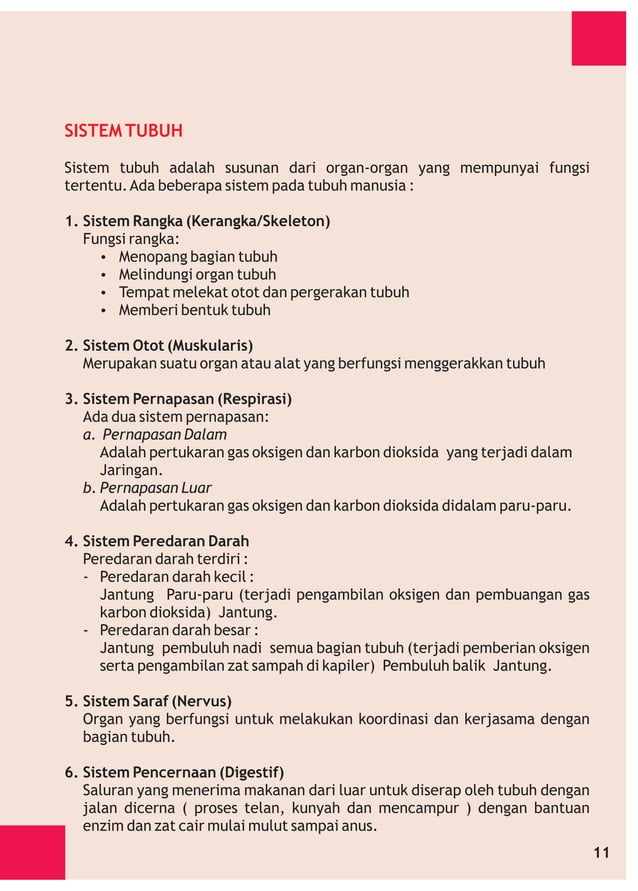 MATERI PMR | PDF