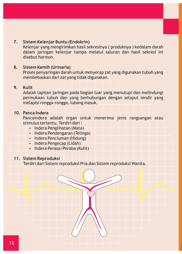 MATERI PMR | PDF