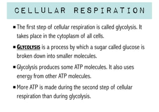 Cells and Energy | PDF