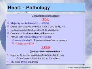 2. heart pathology; congenital disorders | PPT