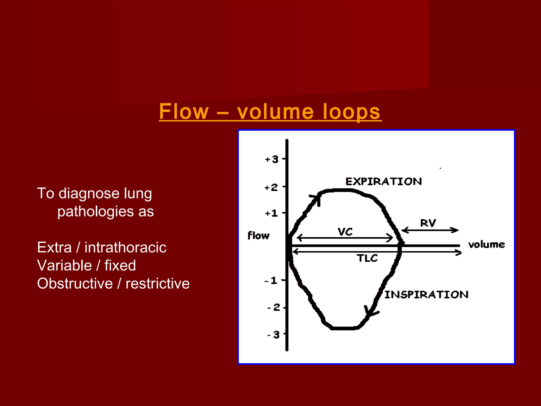 Pneumology - ventilation-transport-of-gases-and-oxygen-delivery | PPT