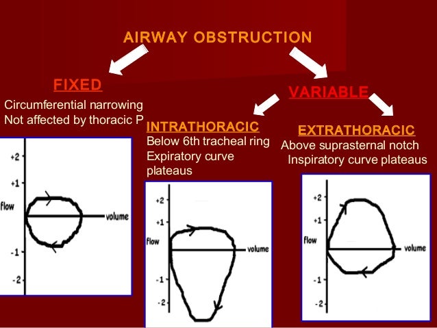 Pneumology - ventilation-transport-of-gases-and-oxygen-delivery