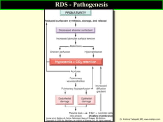 2.disorders of prematurity; pediatric pathology | PPT | Pregnancy ...