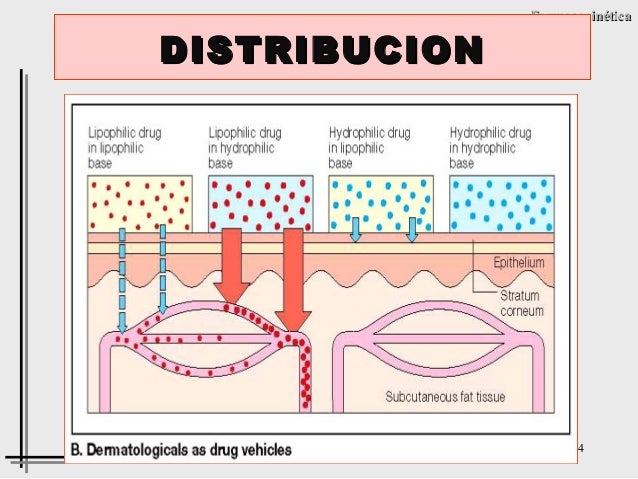 2. farmacocinética - distribución