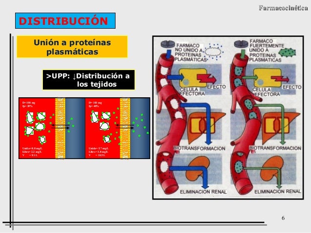 2. farmacocinética - distribución