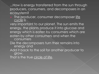Energy transfer/Photosynthesis | PPTX