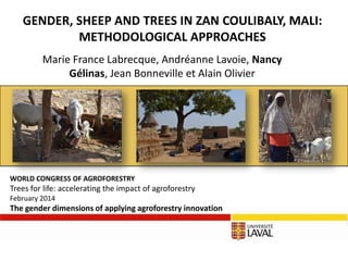 Gender, sheep and trees in zan coulibaly, Mali: methodological ...