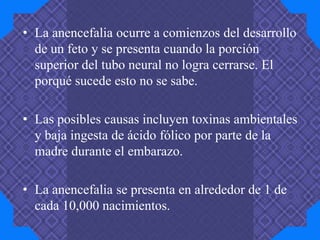 Anencefalia | PPTX