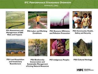 International Finance & Biodiversity Offsets | PPT