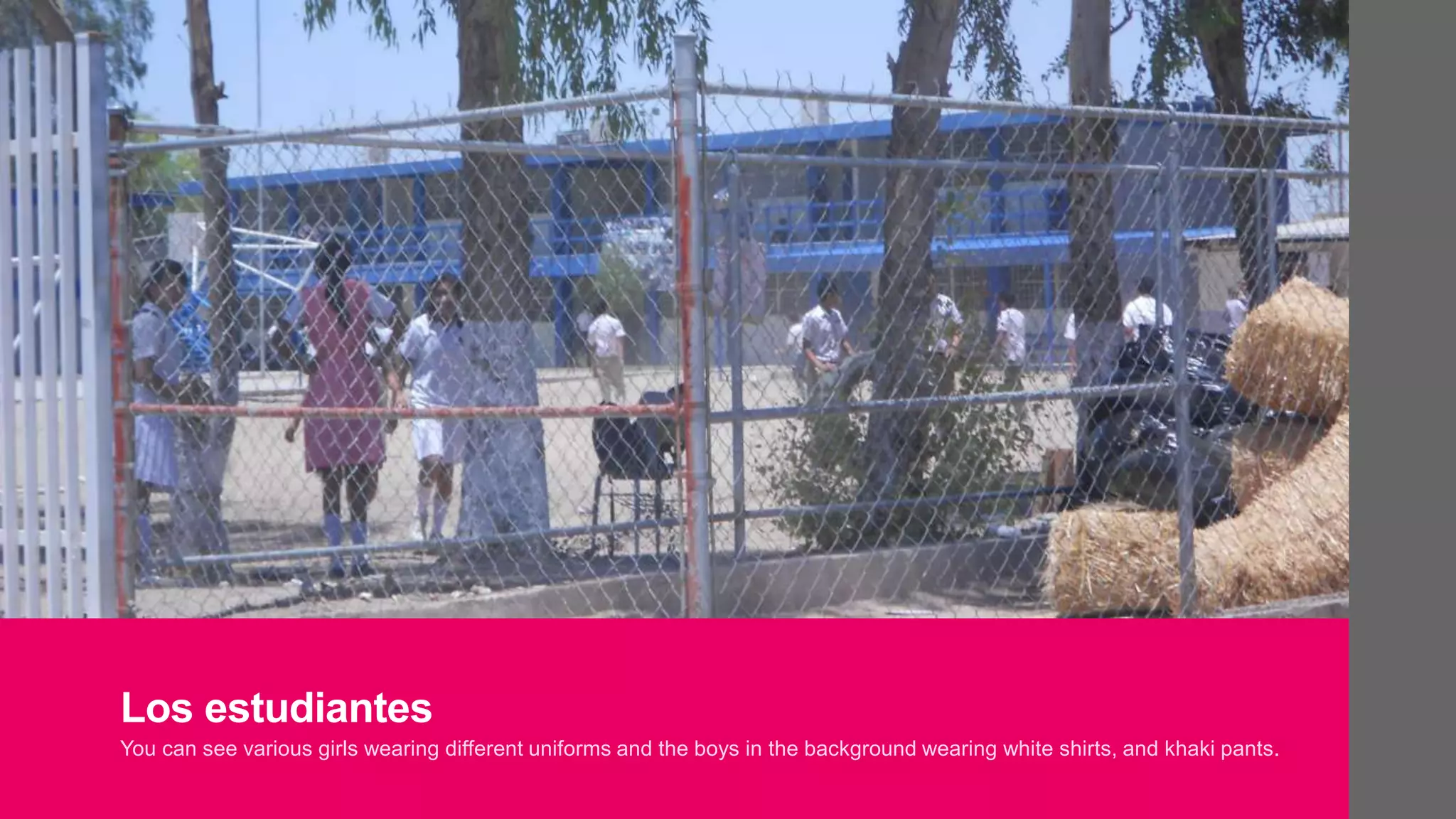 2.21 sp1 | PPTX | Women\'s Outerwear | Women\'s Clothing