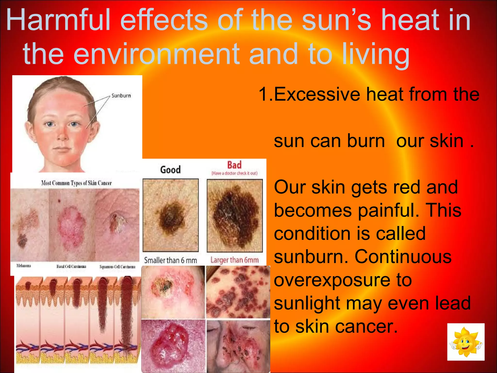 2. effects of the sun's heat and light | PPT