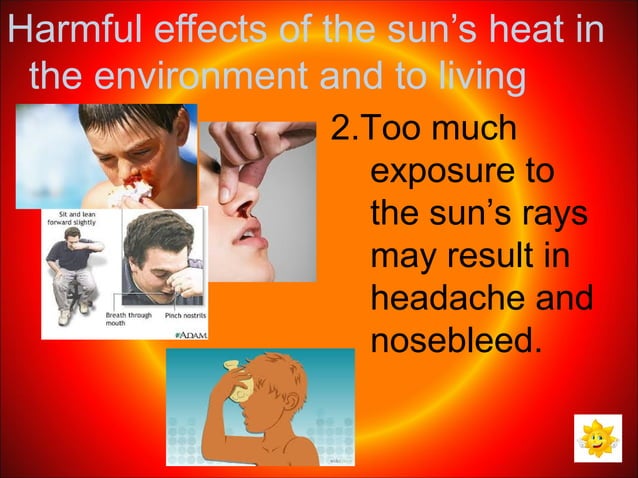 2. effects of the sun's heat and light | PPT
