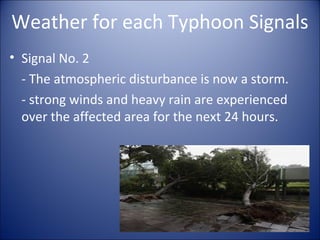 2.effects of weather on different activites.ppt aa | PPT