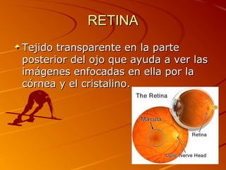 2.8 desprendimiento de retina | PPT