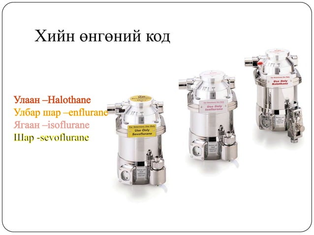 Inomed-2013 Huree ict Khulan | PPTX