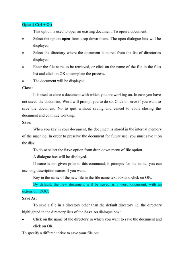 Word Processor | PDF