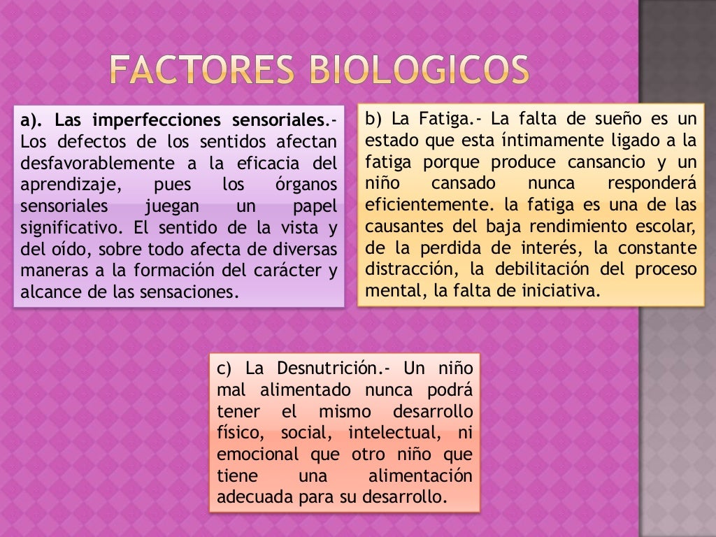 Nombrar Los Factores Que Influyen En El Desarrollo De La Personalidad ... Nombrar Los Factores Que Influyen En El Desarrollo De La Personalidad ...