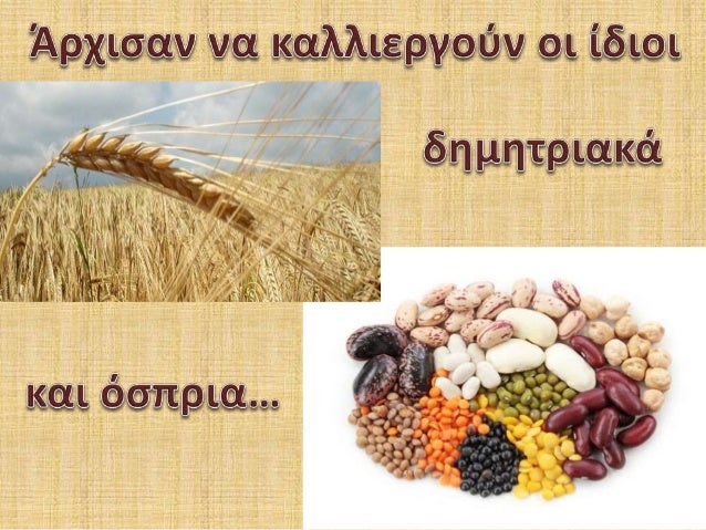 ΝΕΟΛΙΘΙΚΗ ΕΠΟΧΗ ΙΣΤΟΡΙΑ Γ ΤΑΞΗΣ