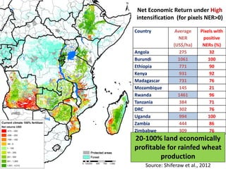 Wheat for Africa | PPT
