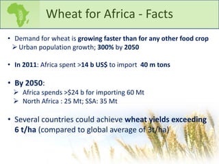 Wheat for Africa | PPT