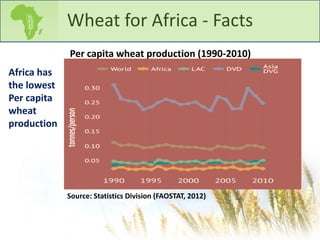 Wheat for Africa | PPT